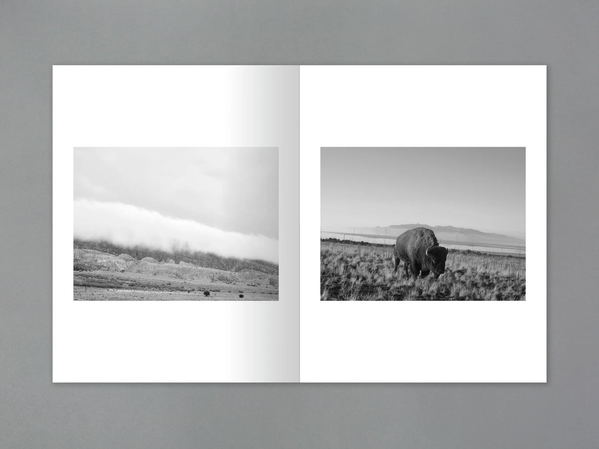 I CAN FEEL YOU DREAMING by TAYLOR GALLOWAY – Safelight Berlin